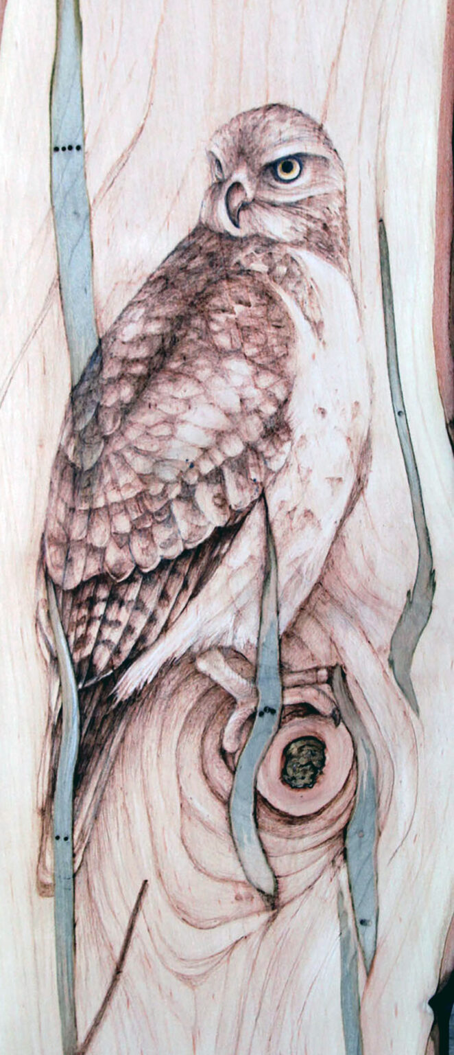 Geb Designs – Science Illustration Nature Art Creations